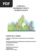 El Ciclo de Vida Del Conejo | PDF