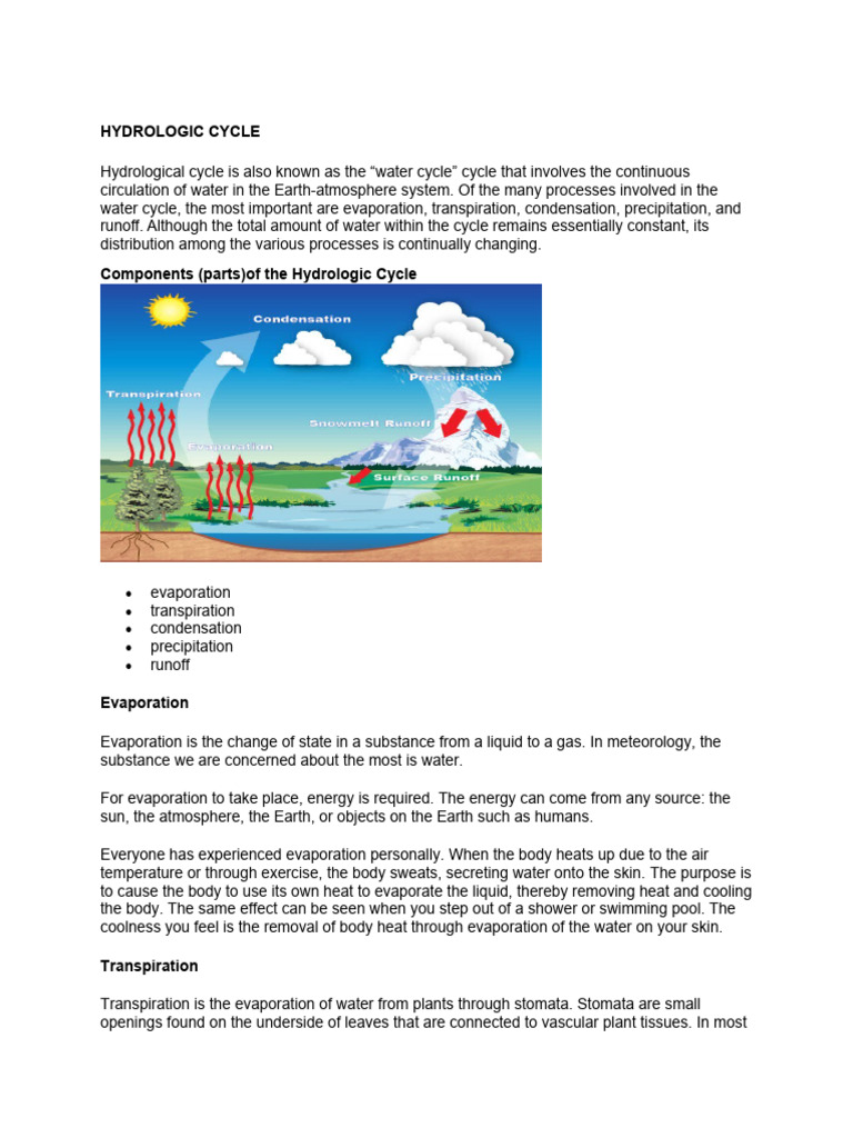 Hydrologic Report | Download Free PDF | Evaporation | Water