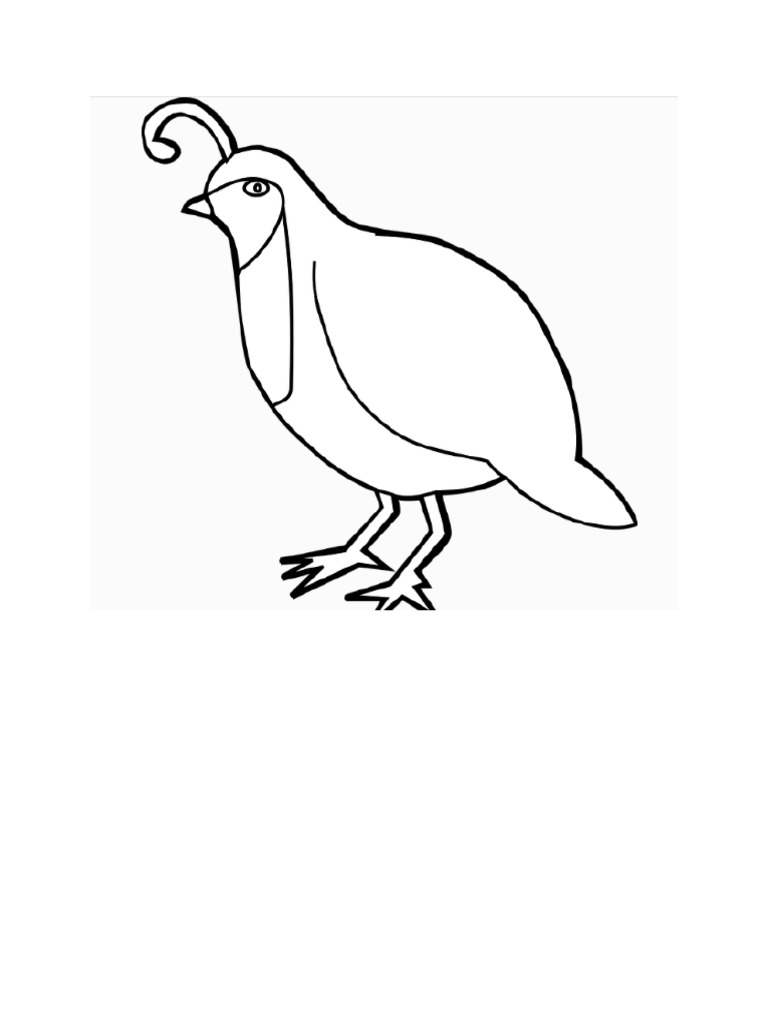 Mewarnai Gambar Unggas | PDF