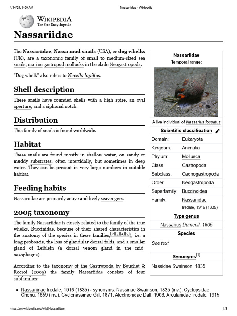 Nassariidae - Wikipedia | PDF | Biological Classification | Taxonomy ...
