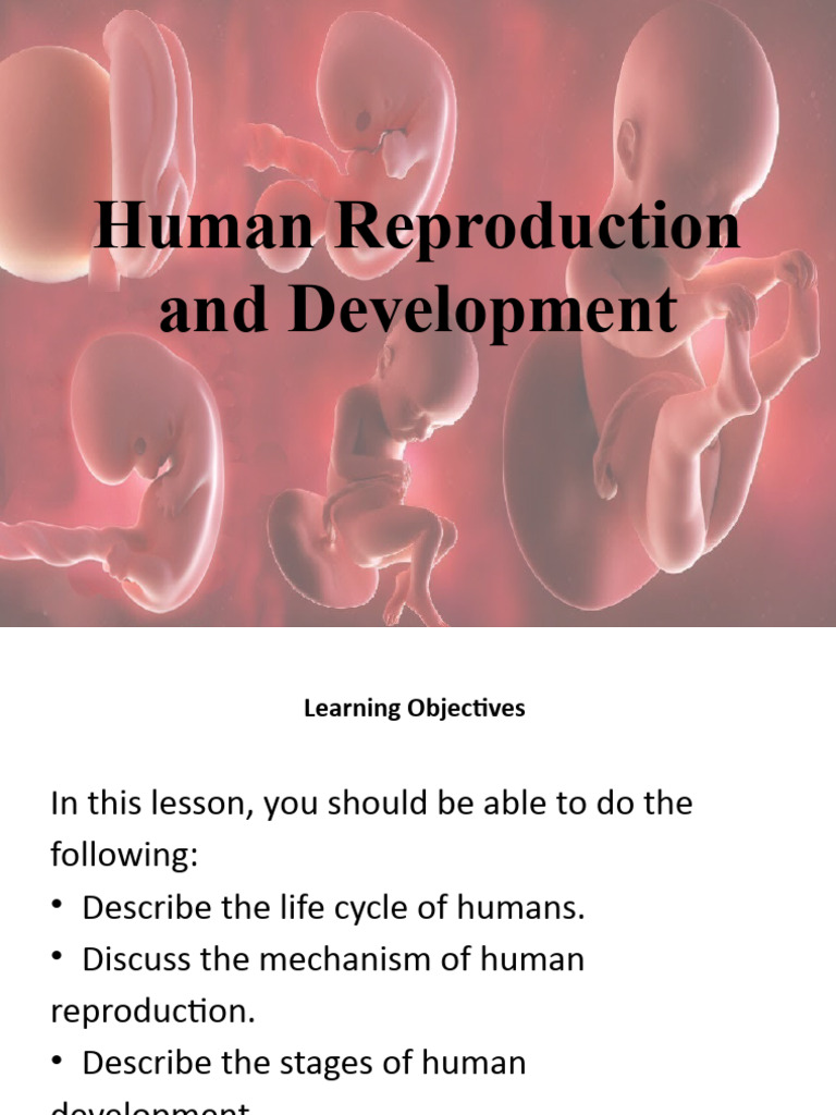 Human Reproduction and Development (my copy) | PDF | Human Reproduction ...
