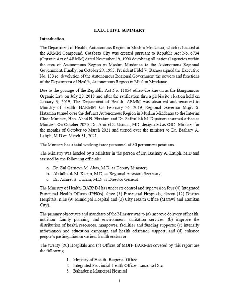 Ministry-of-Health-Executive-Summary-2020 | PDF | Bookkeeping | Audit