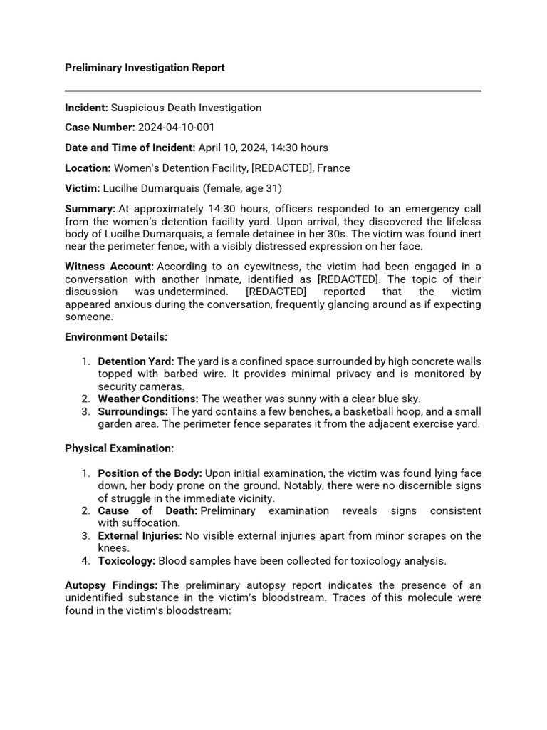 Preliminary Report | PDF