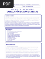 Extracción de ADN de Una Fresa | PDF | Adn | Biología Celular)