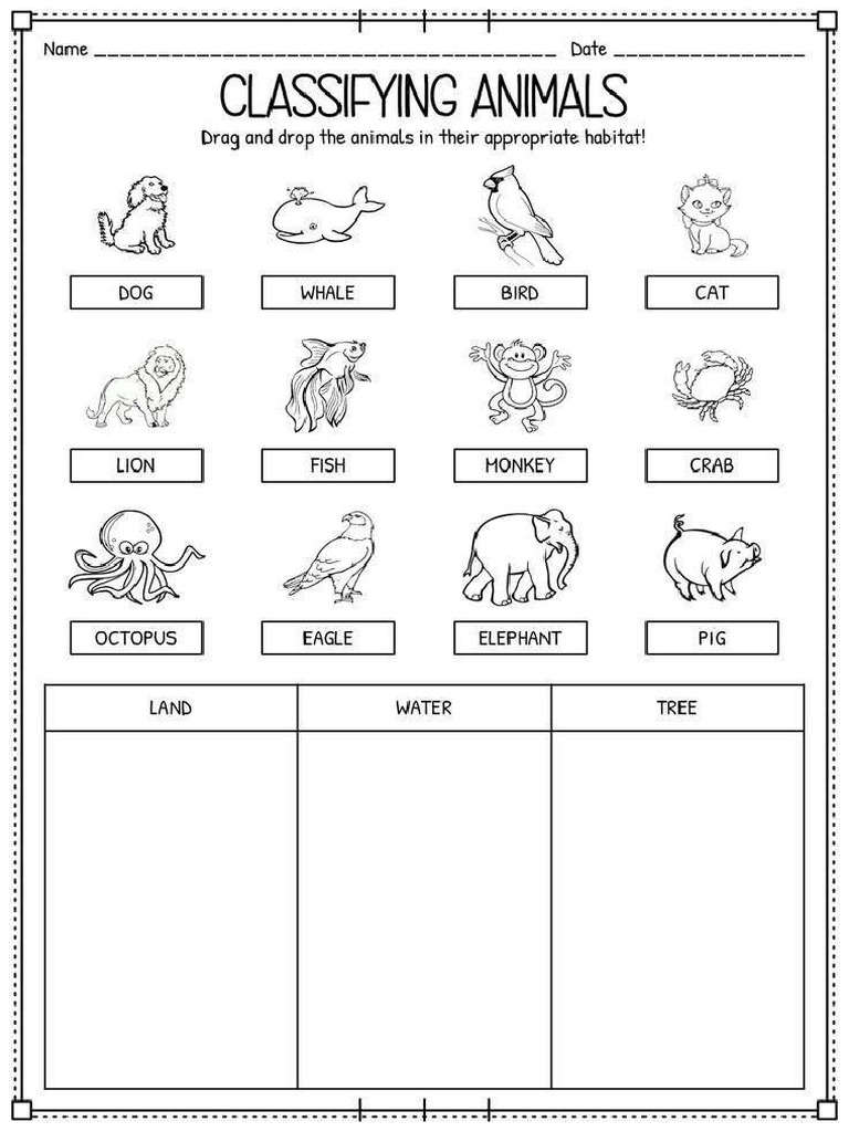 15 Classifying Animals Worksheets Preschool | PDF