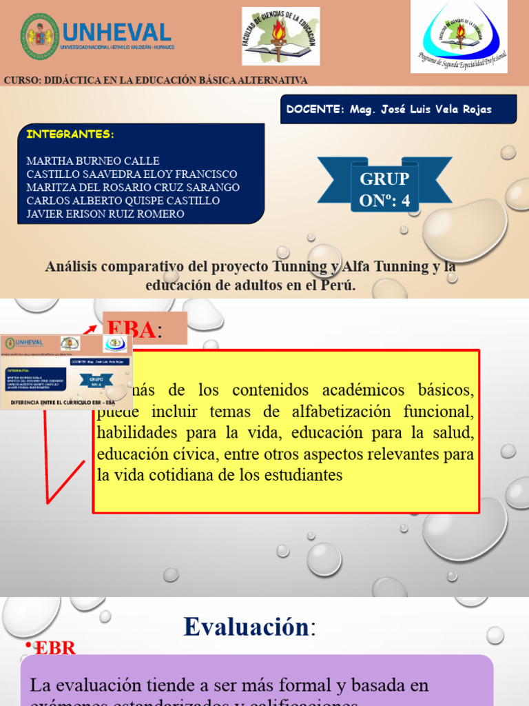 Diferencia Entre El Curriculo Ebr - Eba | PDF | Educación primaria | Evaluación