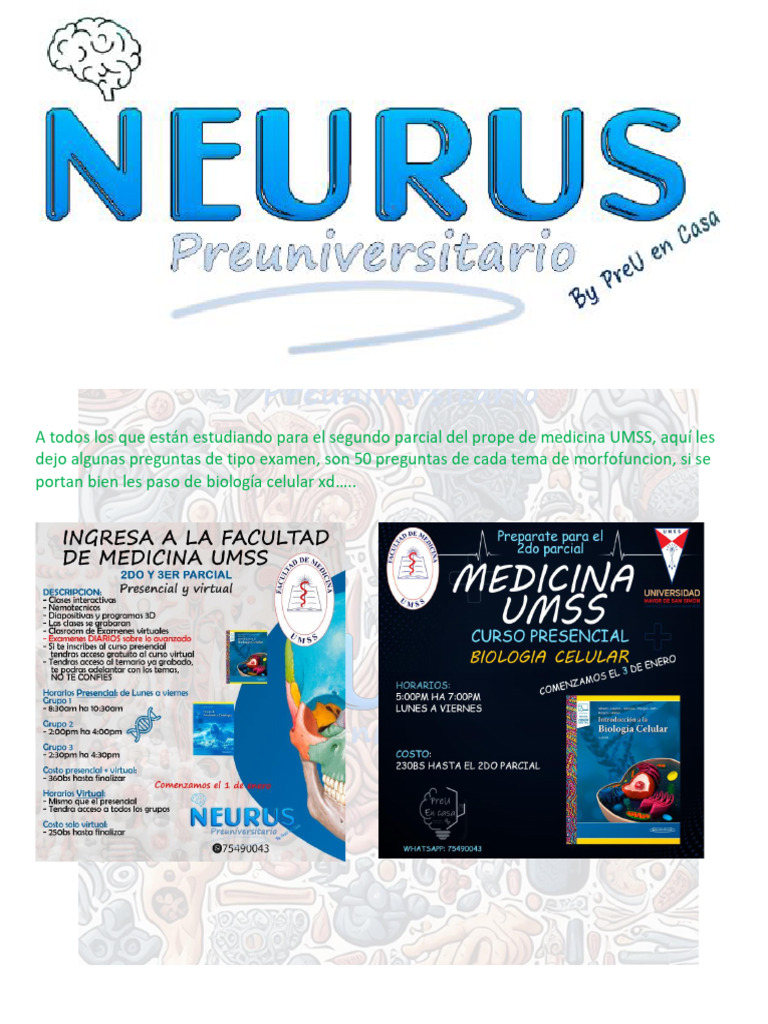 50 Preguntas de Cada Tema - Morfo - 2do Parcial - Neurus | PDF ...