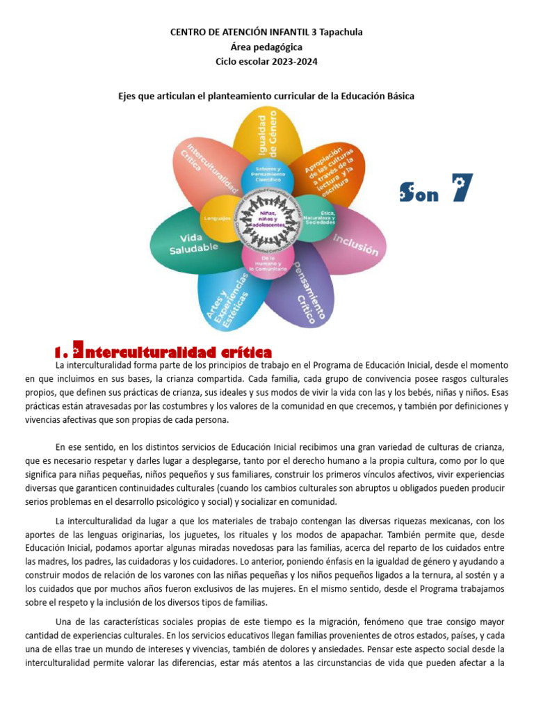 Ejes Articuladores | PDF | Educación de la primera infancia | Inclusión ...