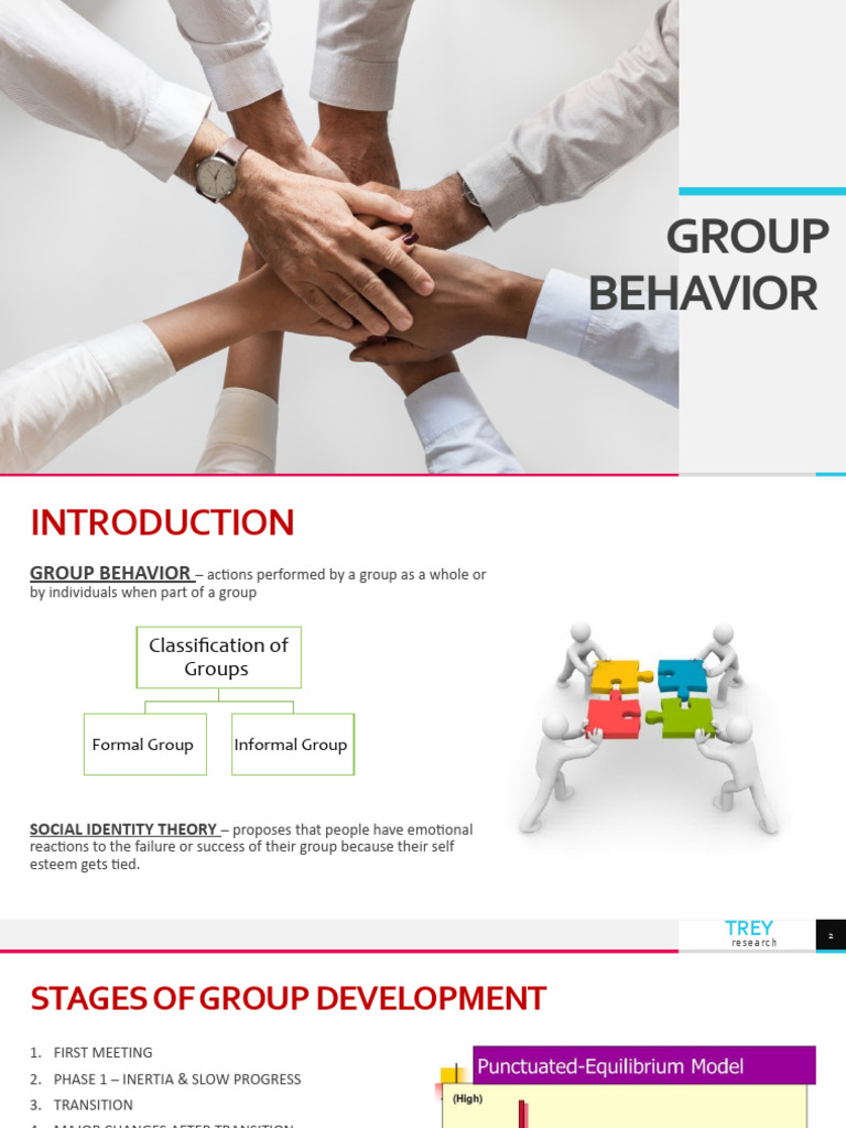 Group Behavior | Download Free PDF | Behavior | Popular Psychology