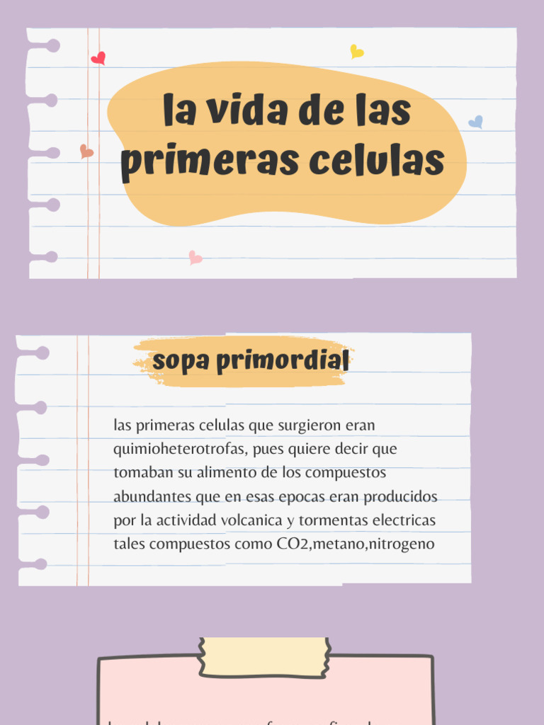 Primeras Celulas | PDF