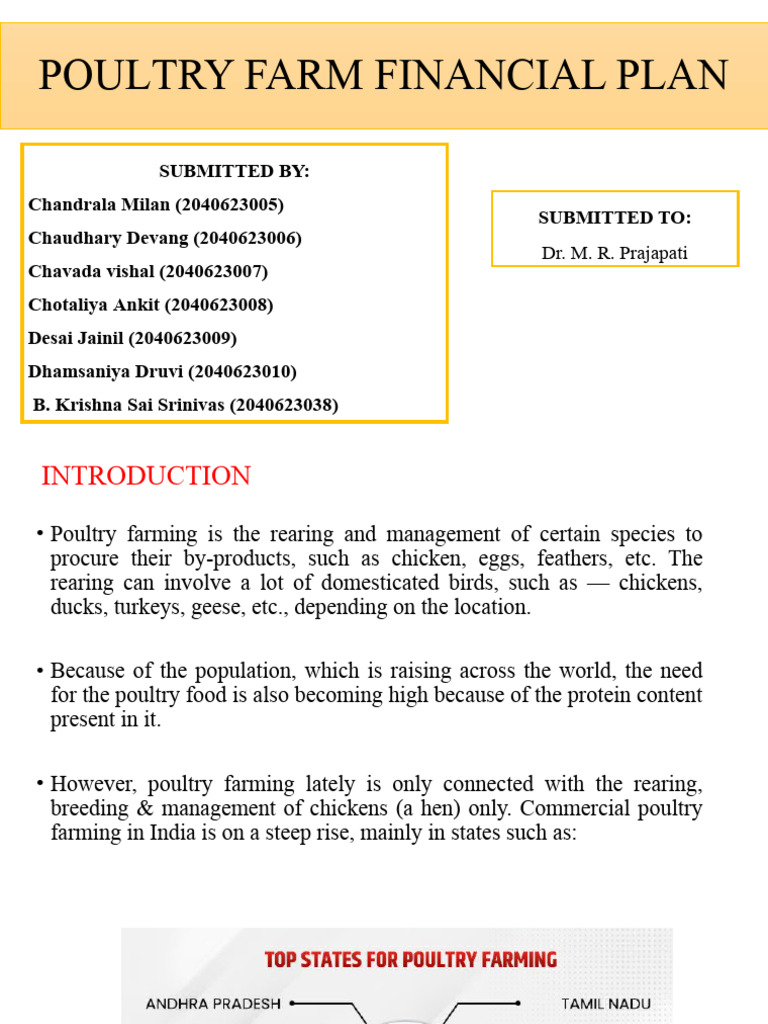 Poultry Farm Financial Plan 2 | PDF | Poultry | Poultry Farming