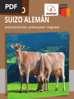 Características del Pardo Suizo Europeo | PDF | Leche | Vacas