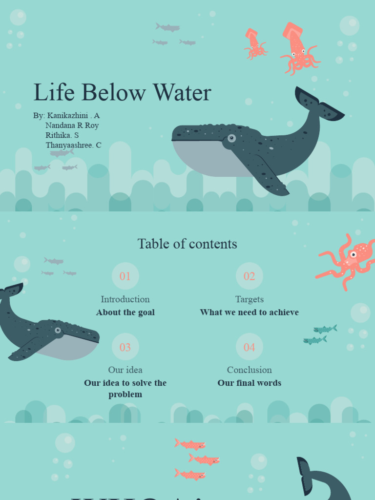 Solutions for Ocean Conservation | PDF