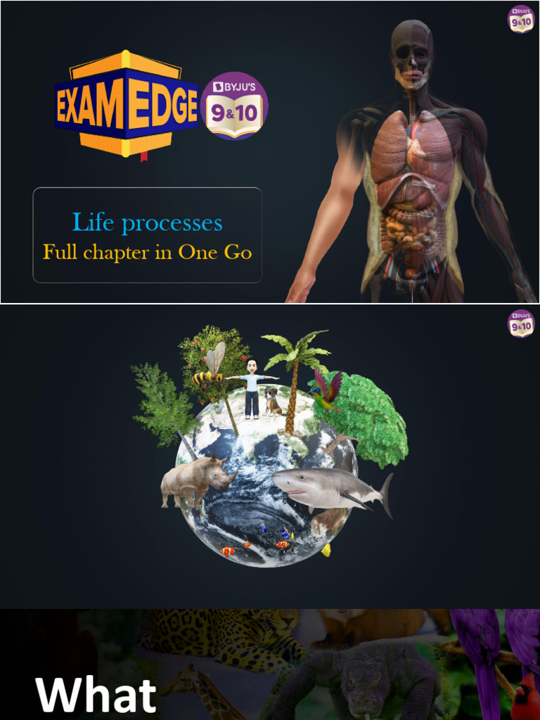 Life Processes in One Exam Edge | PDF | Atrium (Heart) | Ventricle (Heart)