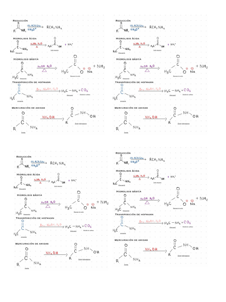 Aminidas y Amidas | PDF