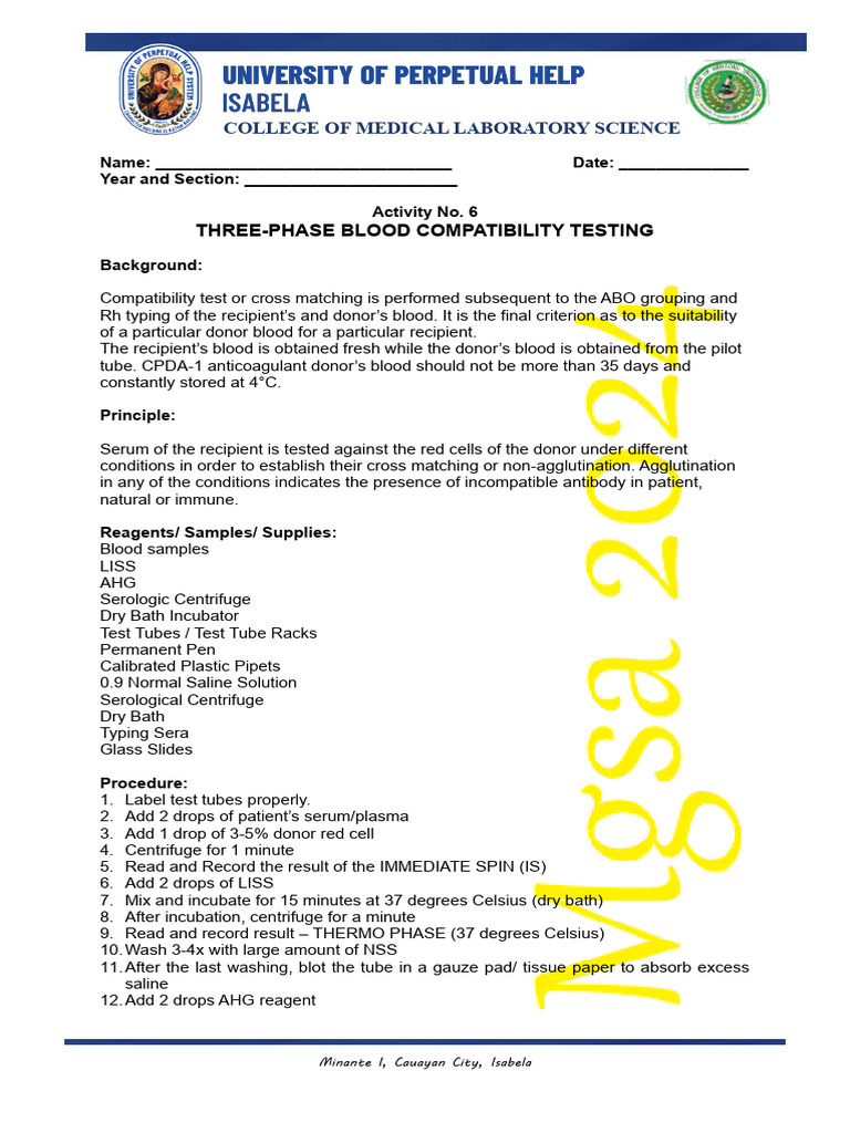 Immuno BB Activity 6 Crossmatch | PDF | Body Fluids | Blood