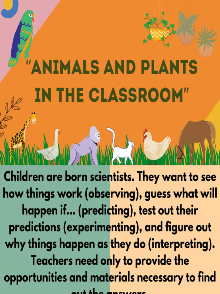 Animals and Plants in The Classroom | PDF