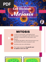 Meiosis: PMAT Stages Explained | PDF