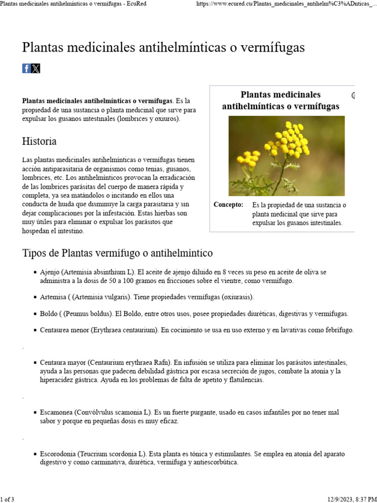 Plantas Medicinales Antihelmínticas o Vermífugas - EcuRed | PDF | Plantas medicinales | Hierbas ...