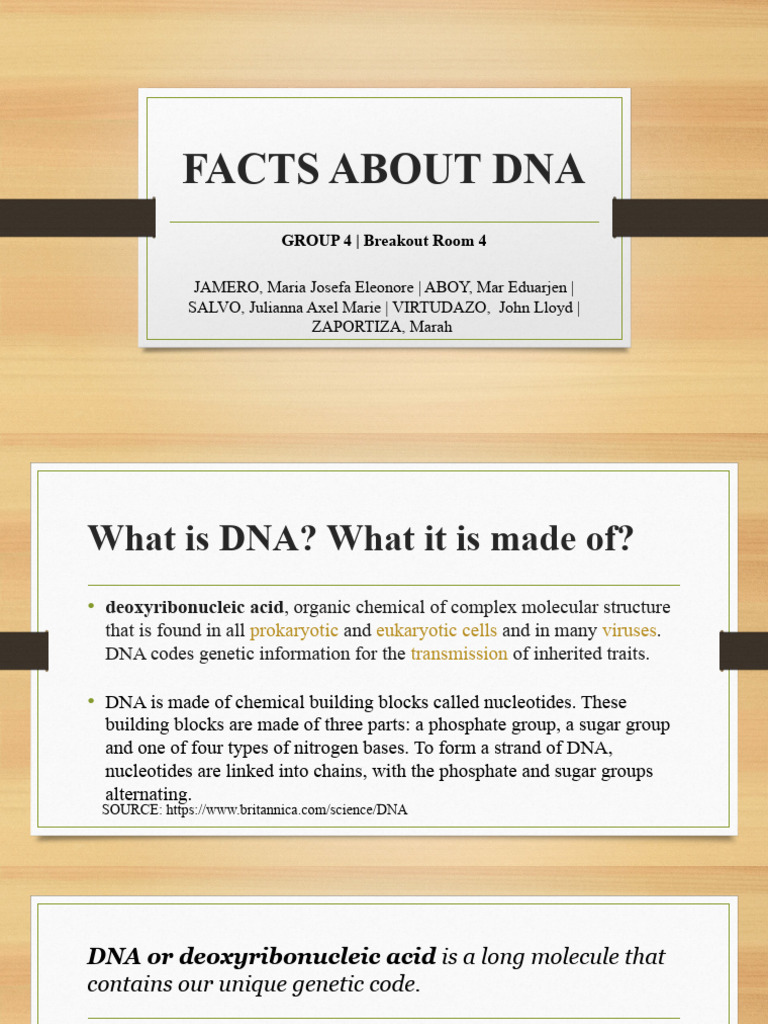 Facts About Dna Group 4 Pdf Dna Nucleic Acid Sequence