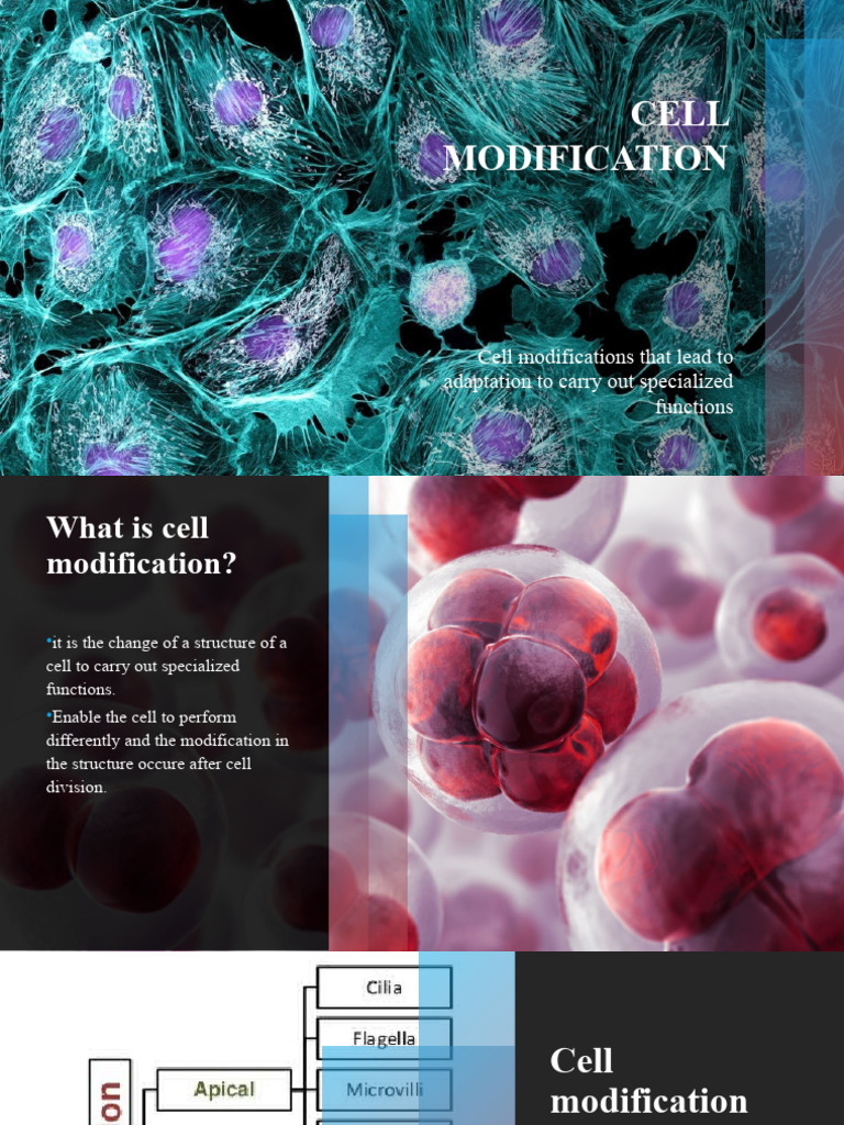 Cell Modification | PDF