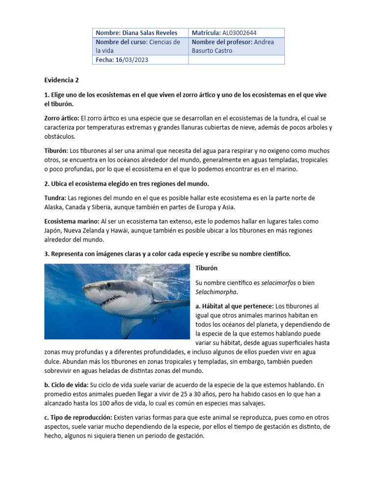 Ecosistemas del Zorro Ártico y Tiburón | PDF | Tiburones | Ecosistema