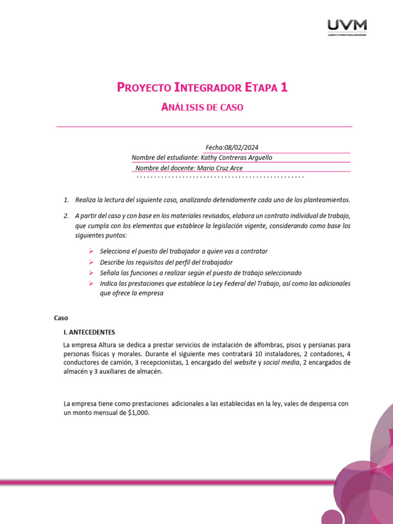 PIE1 - Análisis Caso | PDF