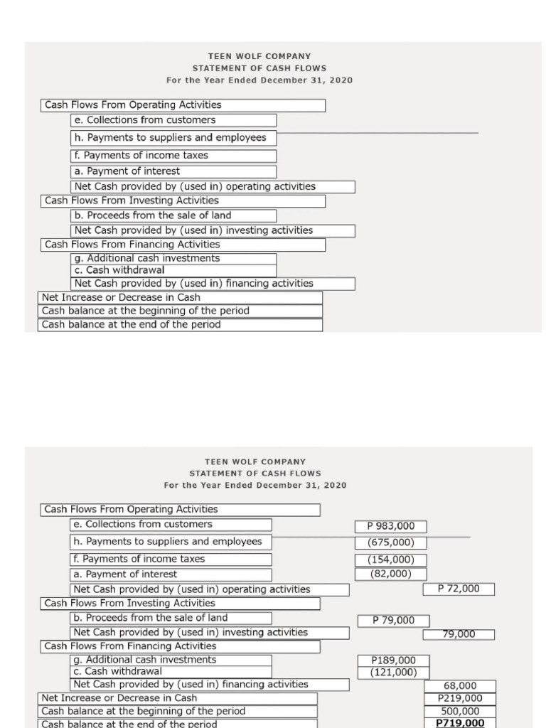 Cash Flow Sample.pdf | PDF
