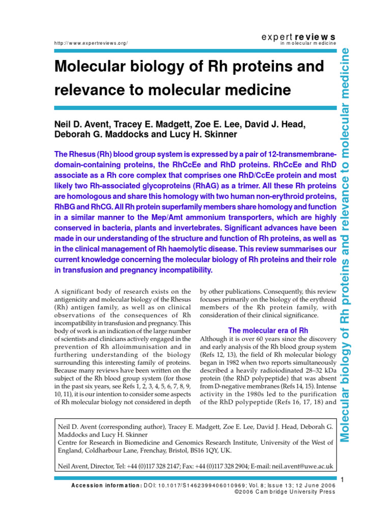 Molecular Biology of RH Proteins And-Avent2006 | PDF | Antibody | Life ...