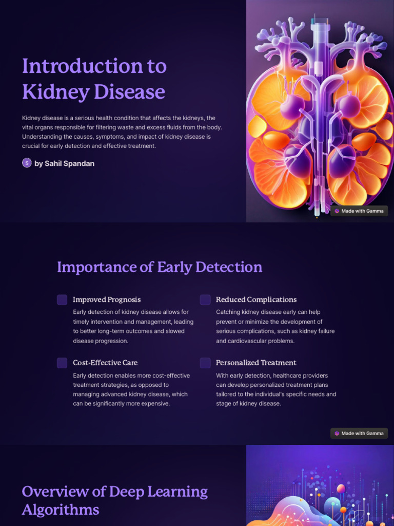 Chronic Kidney Disease Using CNN | PDF | Deep Learning | Artificial ...