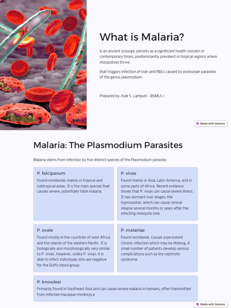 Kylie Malaria Report Final 2 | PDF | Malaria | Plasmodium Falciparum
