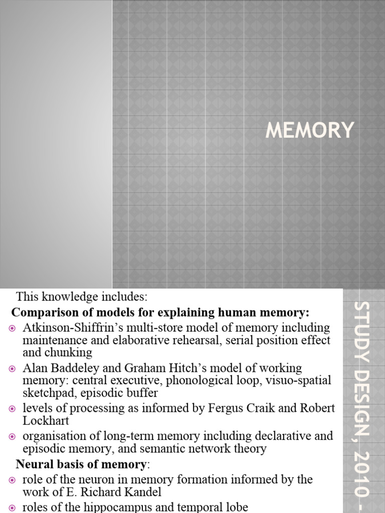 Memory | PDF | Memory | Long Term Memory