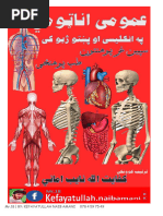 Mechanical Advantage vs. Disadvantage in Levers | PDF | Anatomical ...