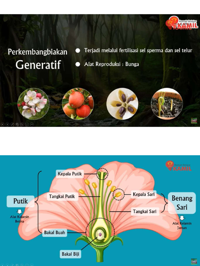 Bagian Bunga & Penyerbukan | PDF