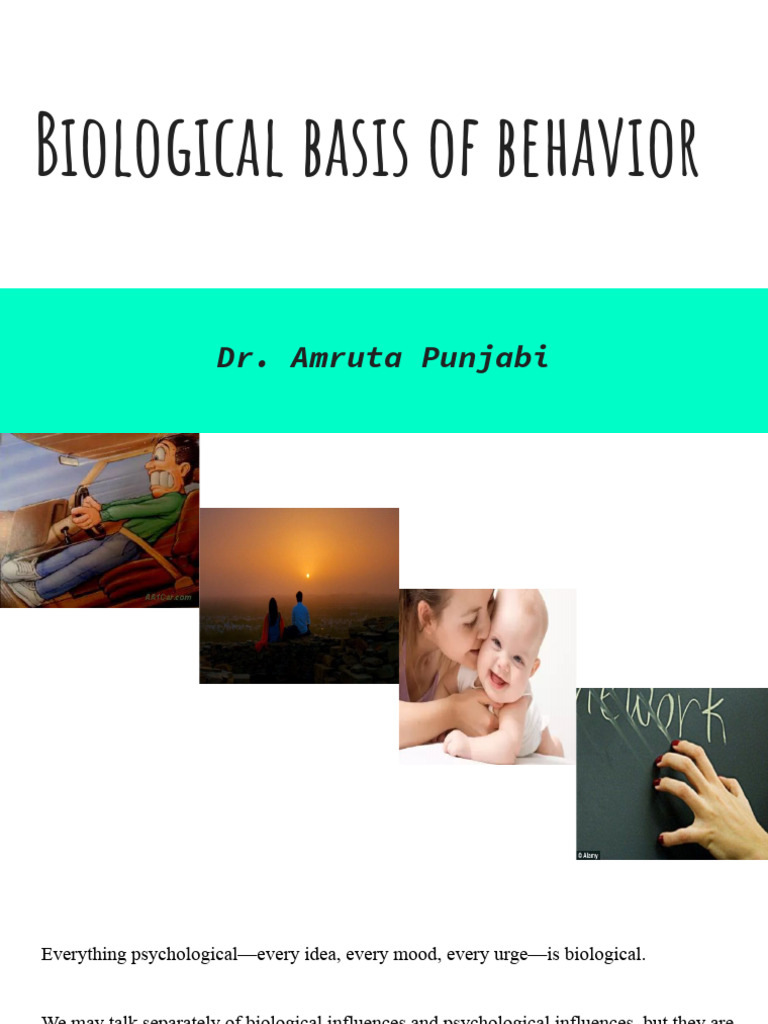 Biological Basis of Behavior | PDF | Neuron | Neurotransmitter