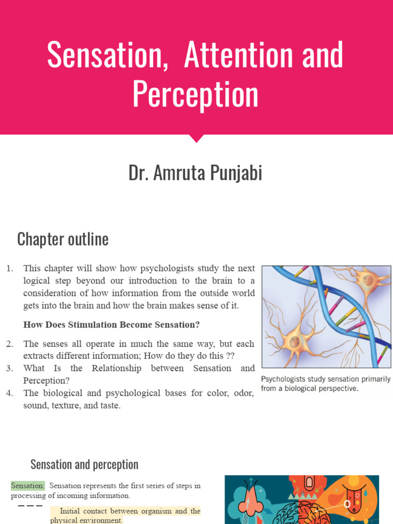 Sensation and Perception | PDF | Perception | Senses