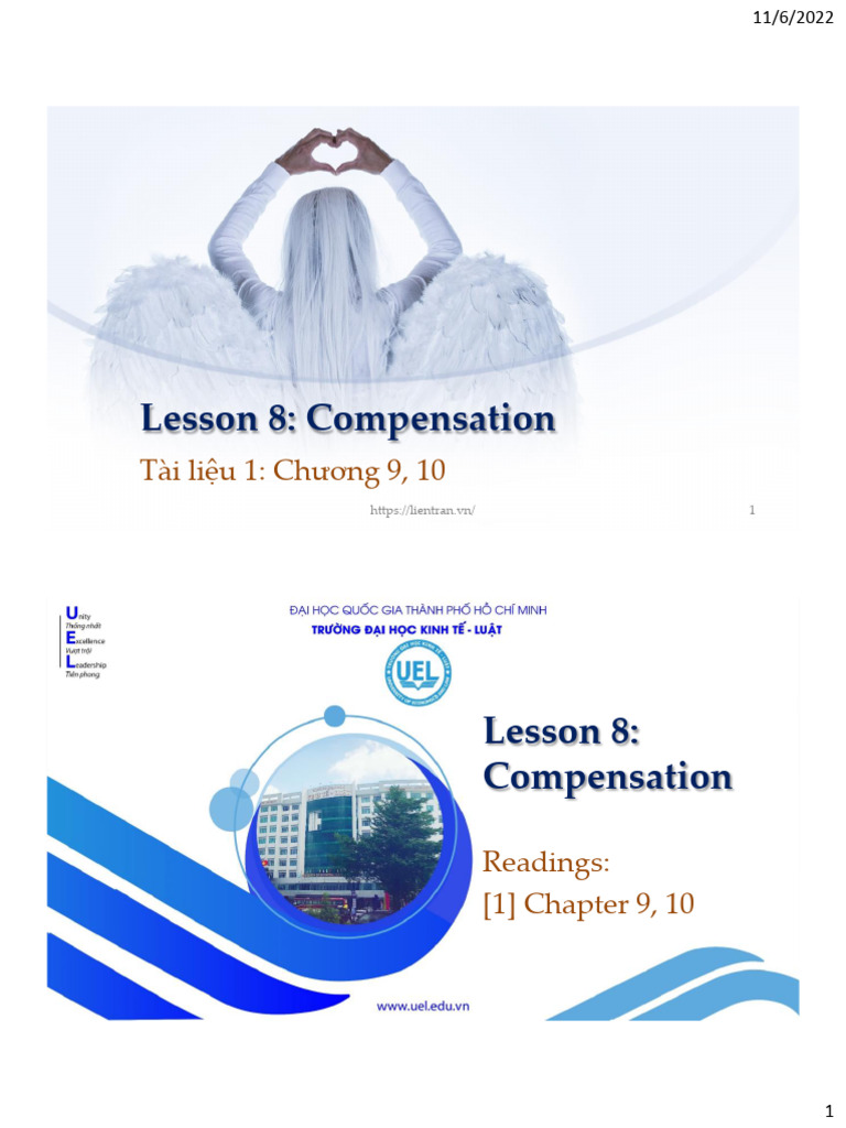 Chap 8 | PDF | Cost Of Living | Compensation And Benefits