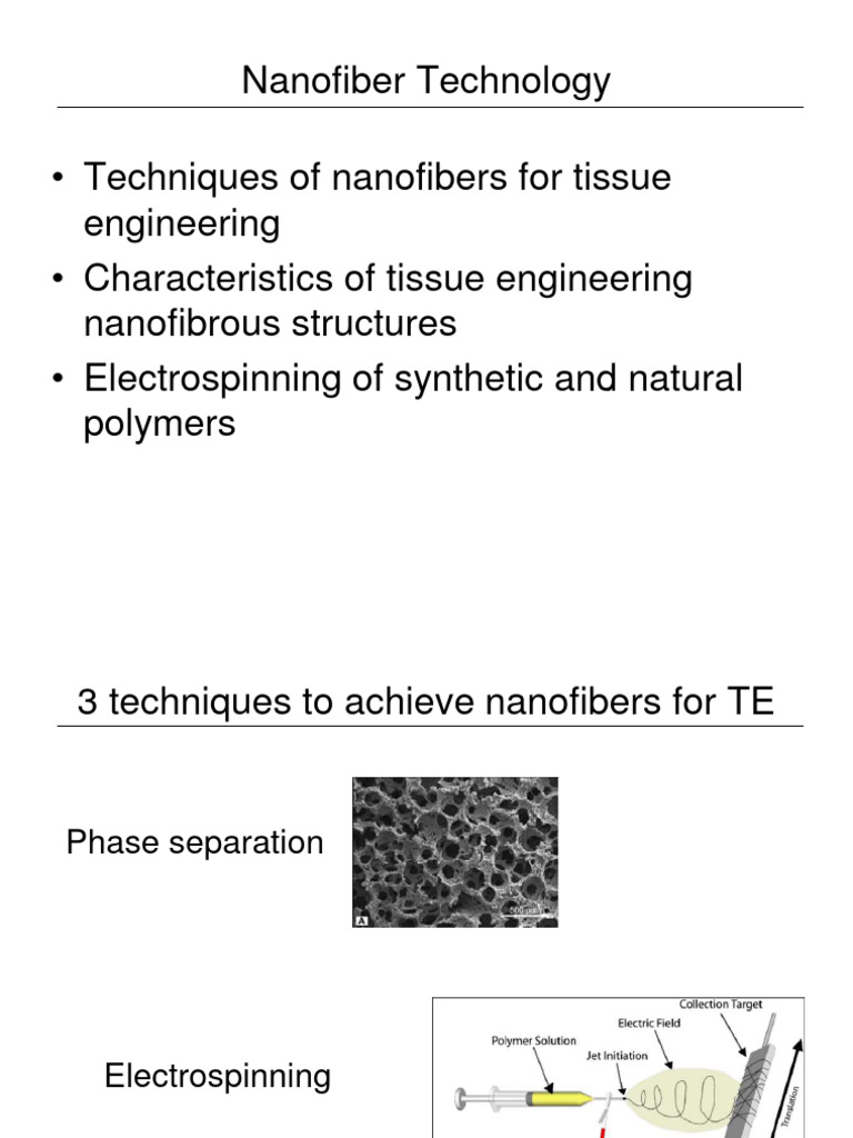 FIBER PGA, PLA Blend, Serat Electrospinning | PDF | Tissue Engineering ...