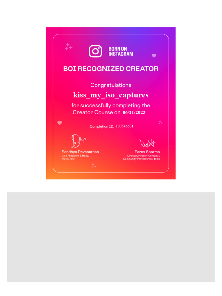 Instagram Course Overview | PDF