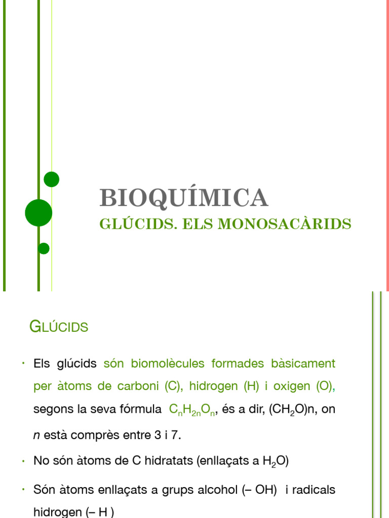 Bioquímica. Glúcids 23-24 | PDF