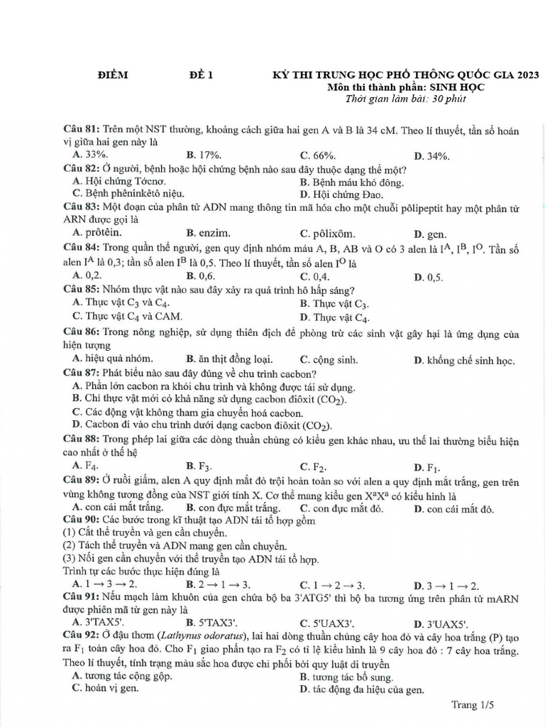 Hs de Tham Khao TN 2023 | PDF