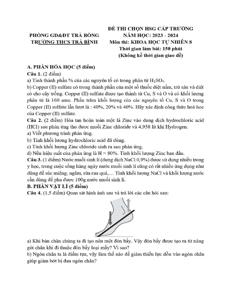 HSG 8 Chính TH C | PDF