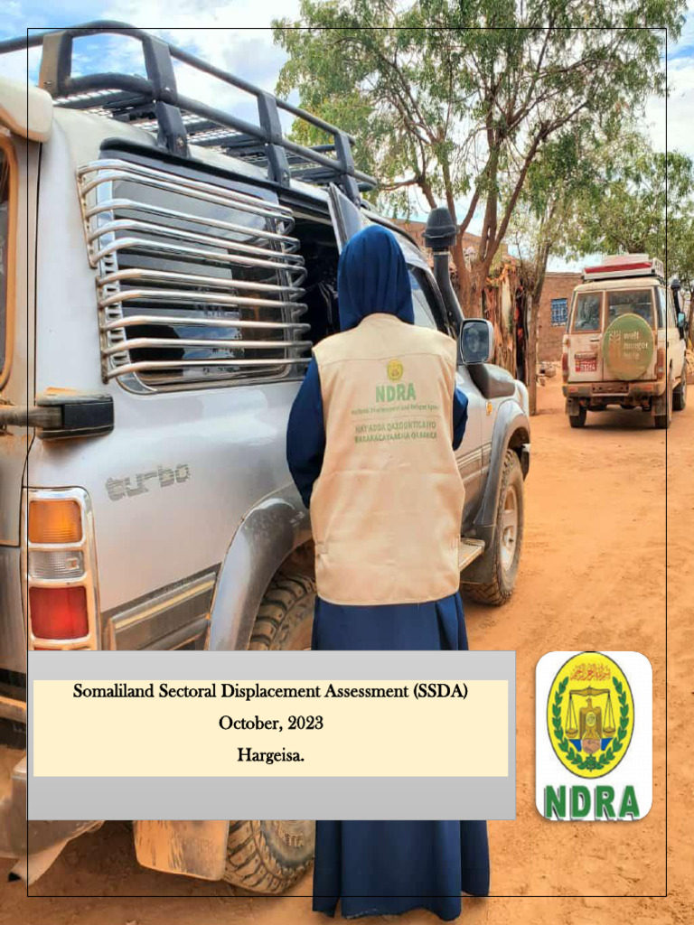 Somaliland Displacement Assessment 2023 | PDF | Internally Displaced ...