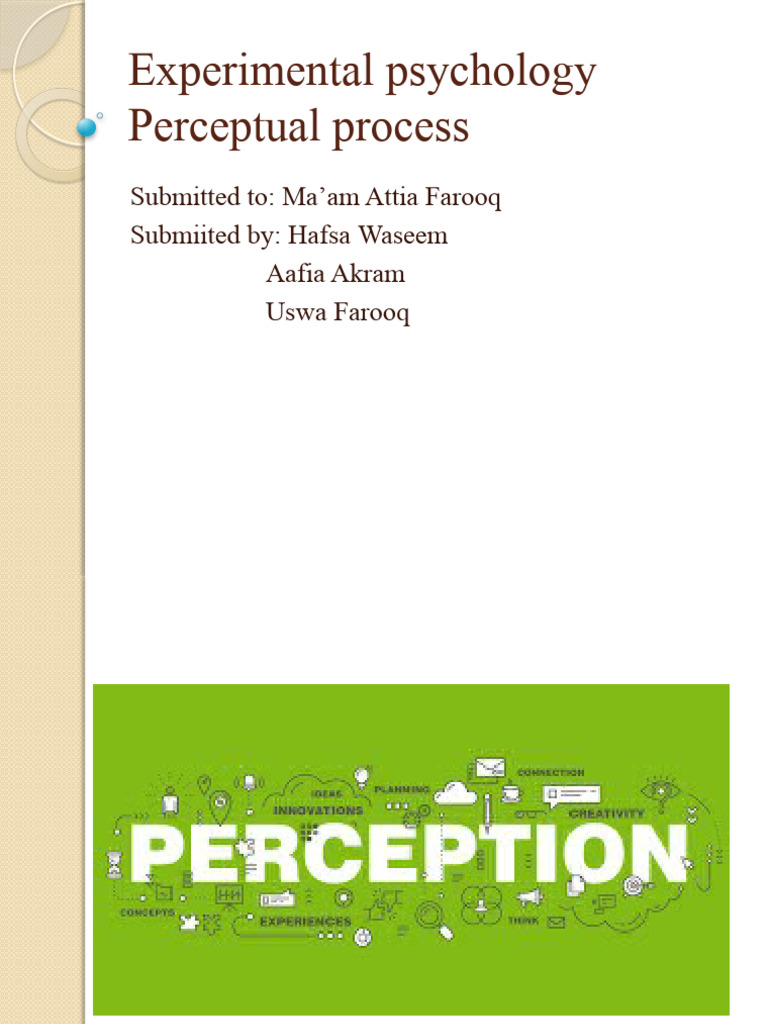 Perceptual Process | PDF | Perception | Senses