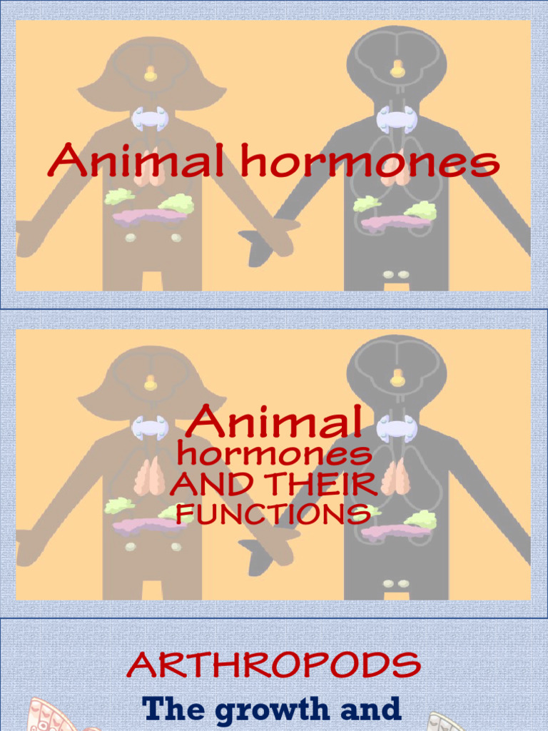 GB2-Animal-Hormones | PDF | Hormone | Endocrine System