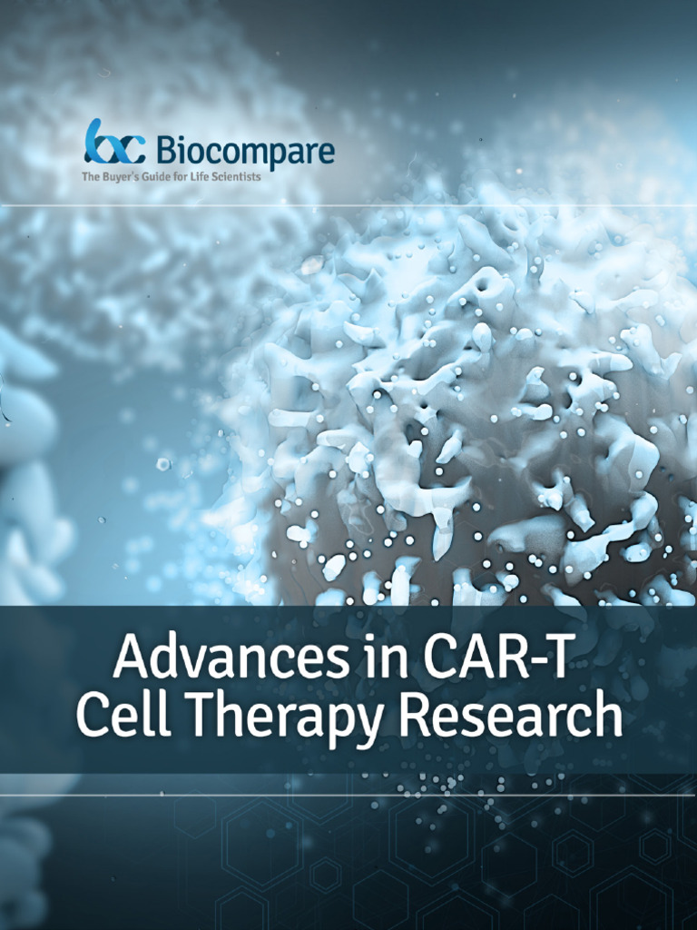 Advances in Car-T Cell Therapy Research | Download Free PDF | B Cell ...
