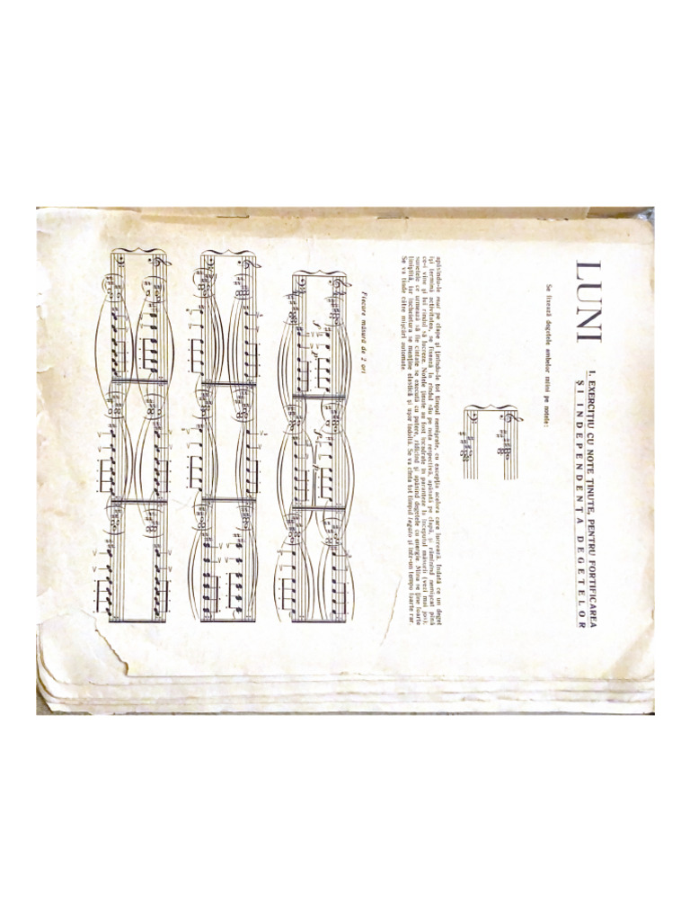 Document Scanat | PDF