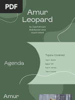 Amur Leopard Fact File | PDF | Leopard | Endangered Species