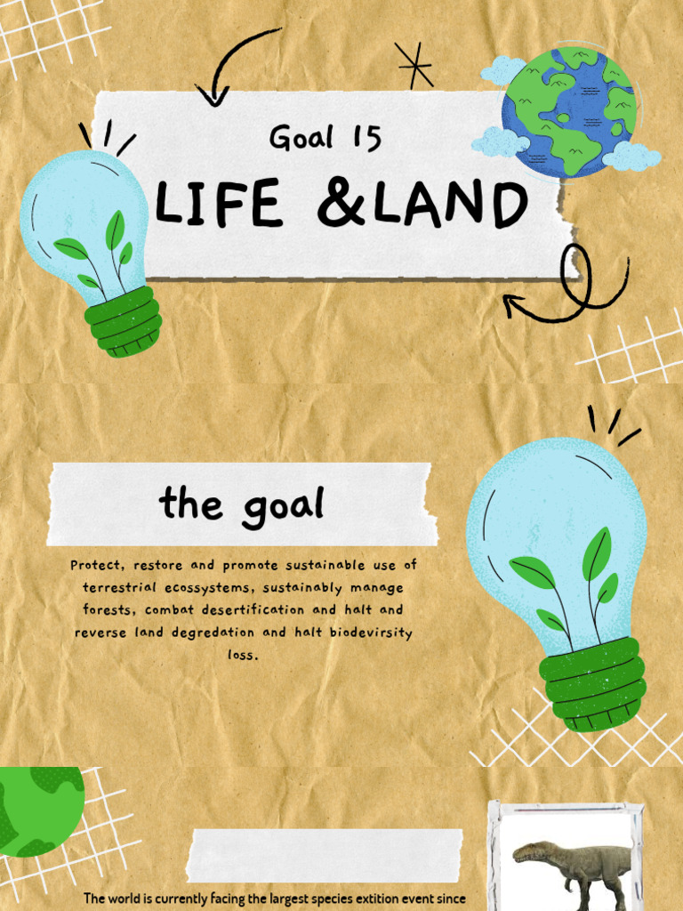 Life & Land | PDF | Environmental Degradation | Sustainability
