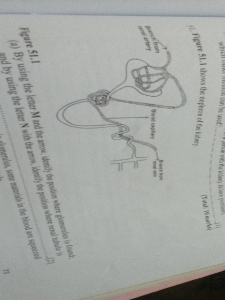 PDF Img2pdf 14apr24 1118 | PDF